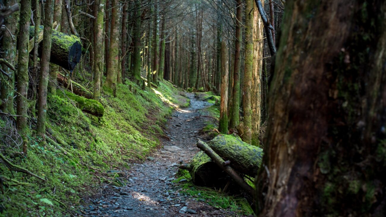 Hike the Trail - Appalachian Trail Conservancy