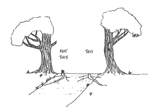 Stomp Stobs Flashback! - Appalachian Trail Conservancy