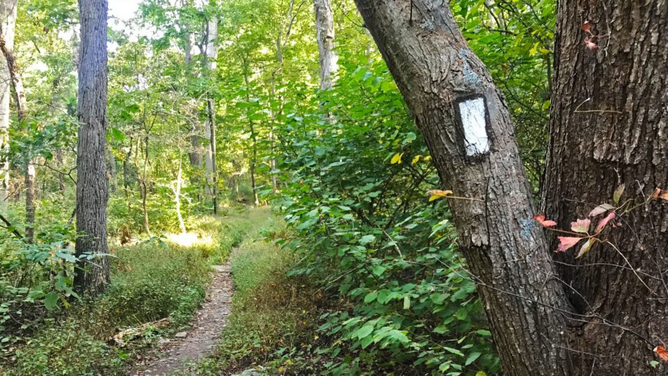 Celebrating the National Trails System Act - Appalachian Trail Conservancy