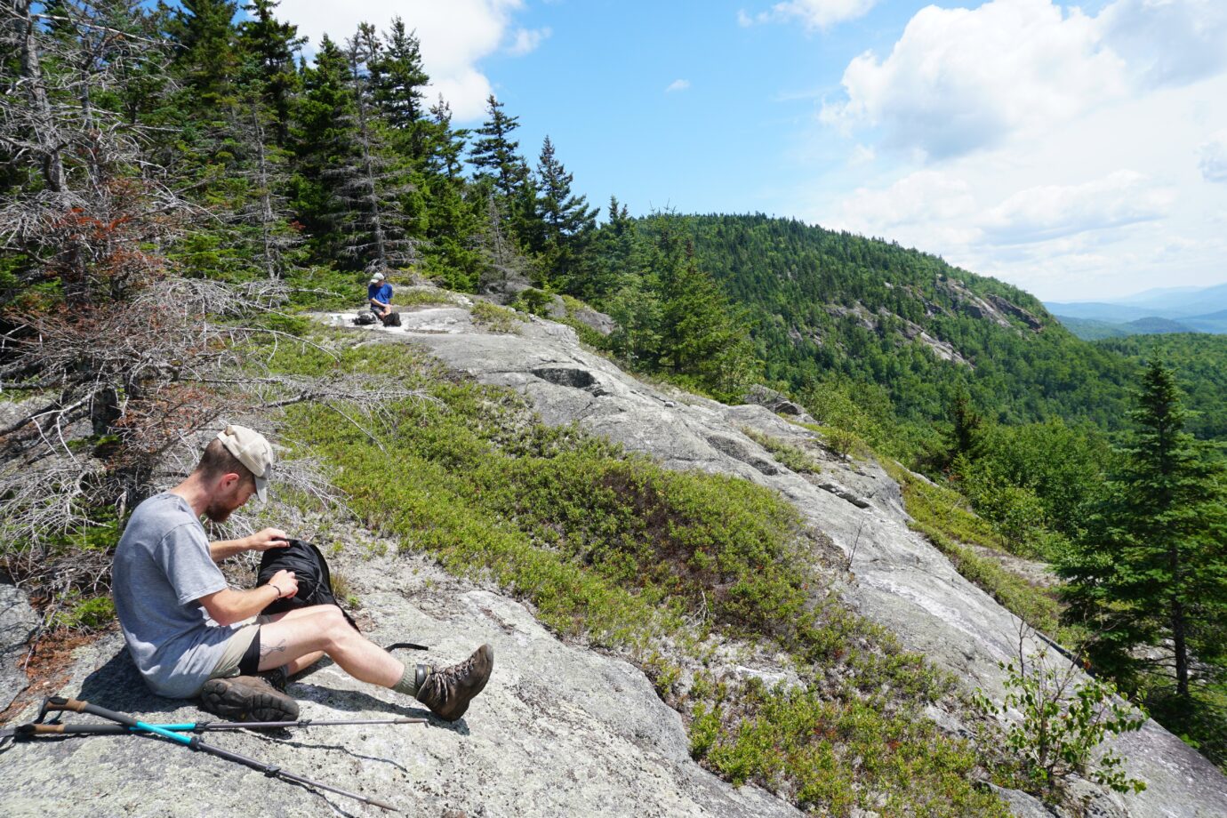 Montane Spruce-Fir Forests - Appalachian Trail Conservancy
