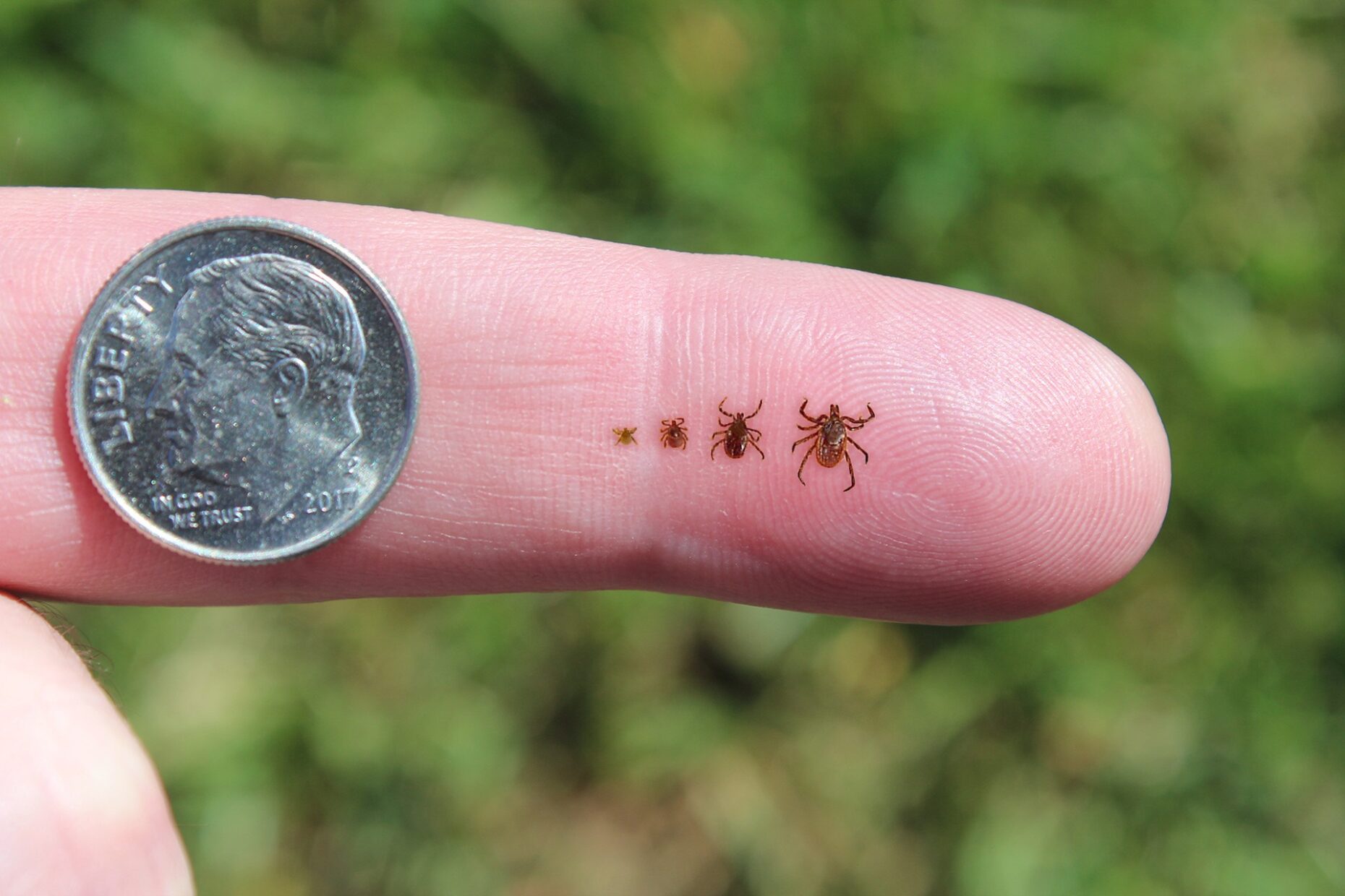 Tick Smart: 5 Tips for Hikers to Prevent Tick-Borne Illness ...