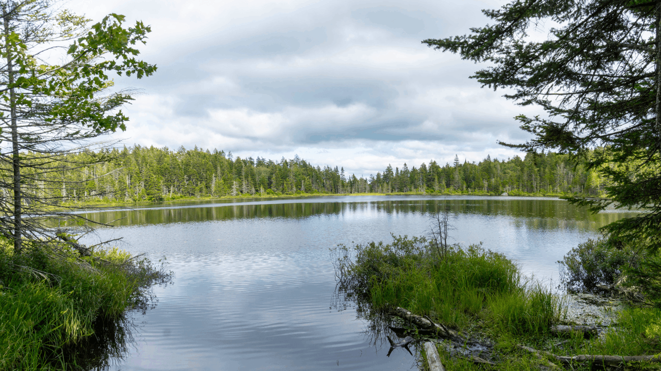 For the View: Assessing the Trail’s Scenic Value - Appalachian Trail ...