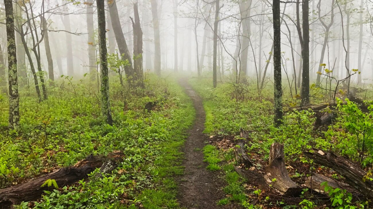 Hiking Northbound (NOBO) - Appalachian Trail Conservancy | Appalachian ...