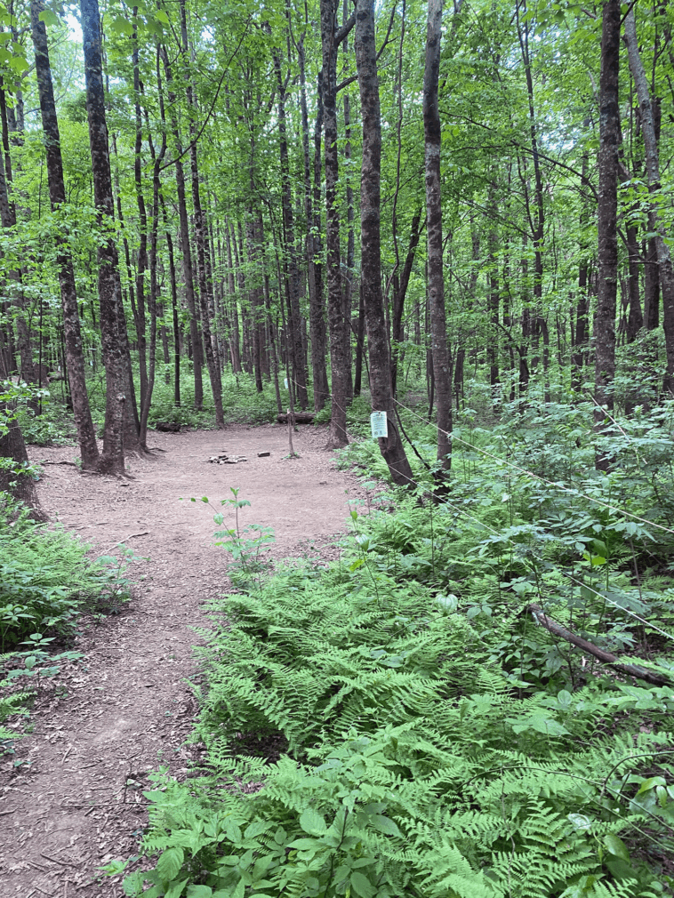 Protecting the A.T. Hiking Experience - Appalachian Trail Conservancy