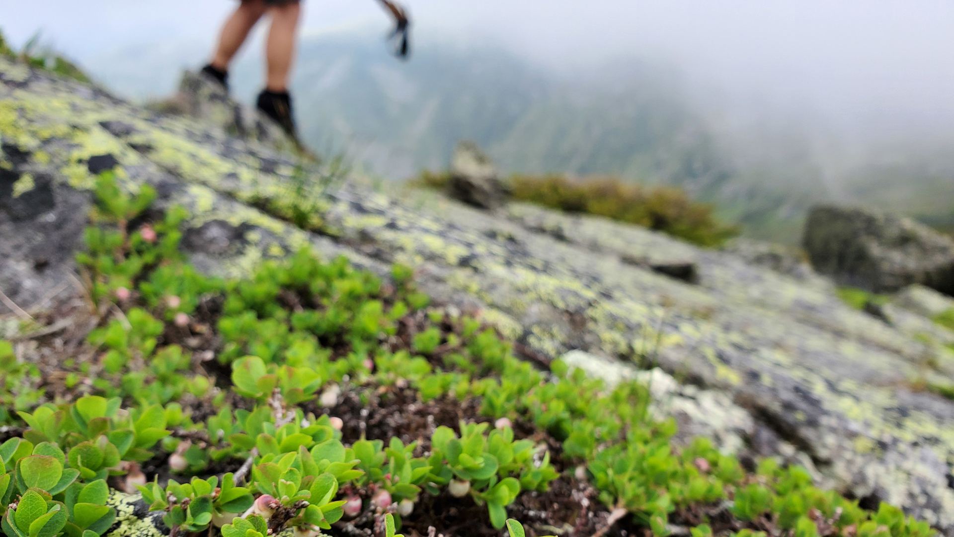 Priority #1: Safety on the A.T. - Appalachian Trail Conservancy