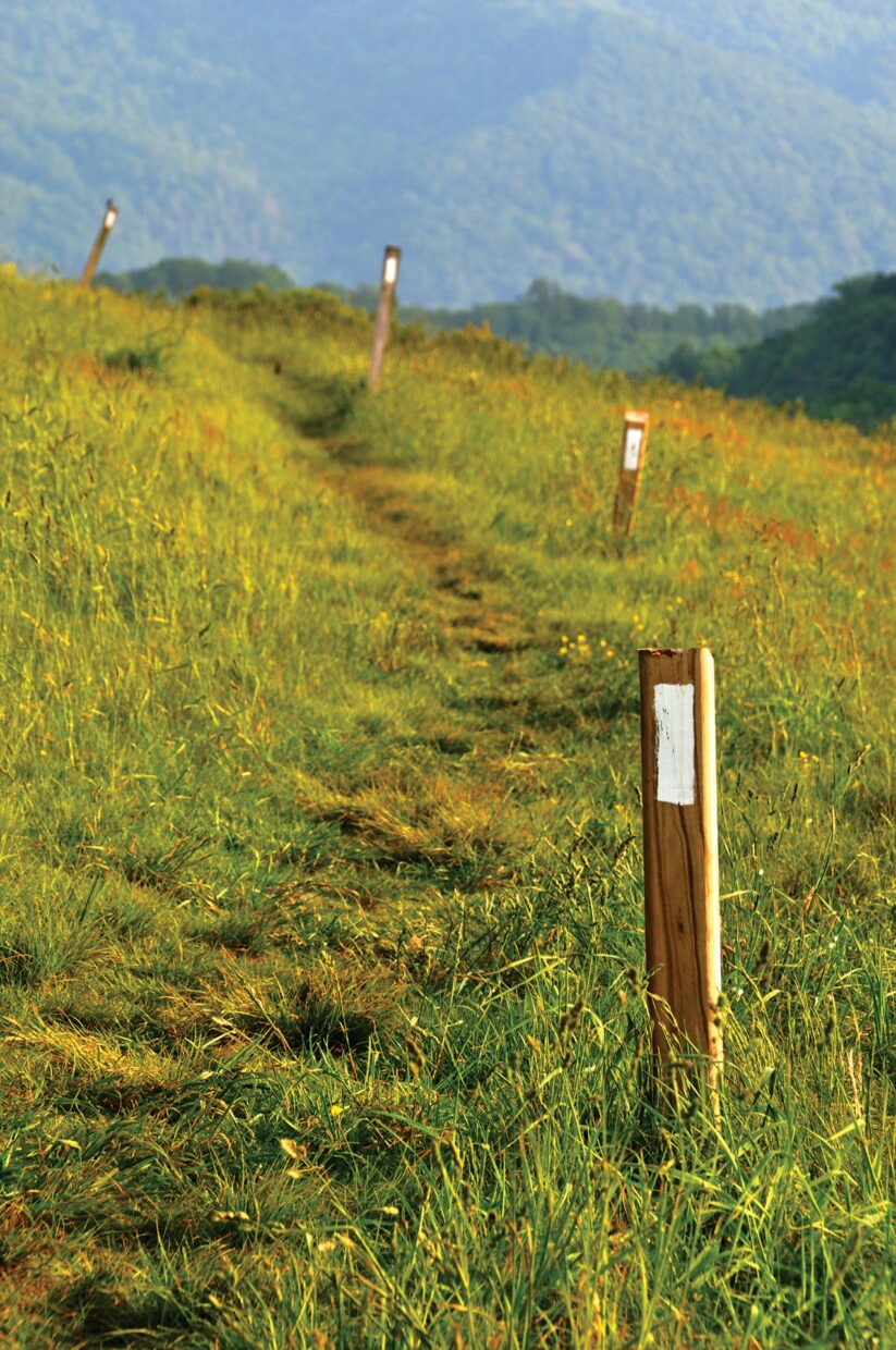 The Rewilding of Max Patch - Appalachian Trail Conservancy ...