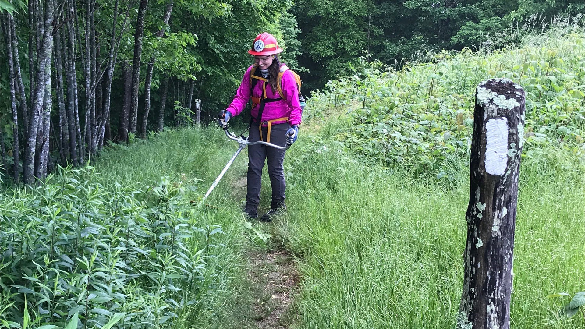 Essential Trail Maintenance – Training Modules | Appalachian Trail ...