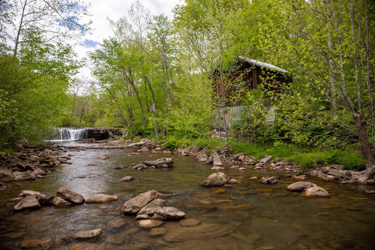 Appalachian Trail Conservancy Helps Create First-Ever Community Forest ...