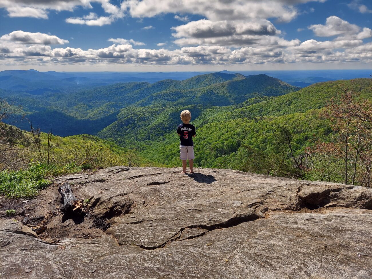 Woody Gap to Big Cedar Mountain - Appalachian Trail Conservancy