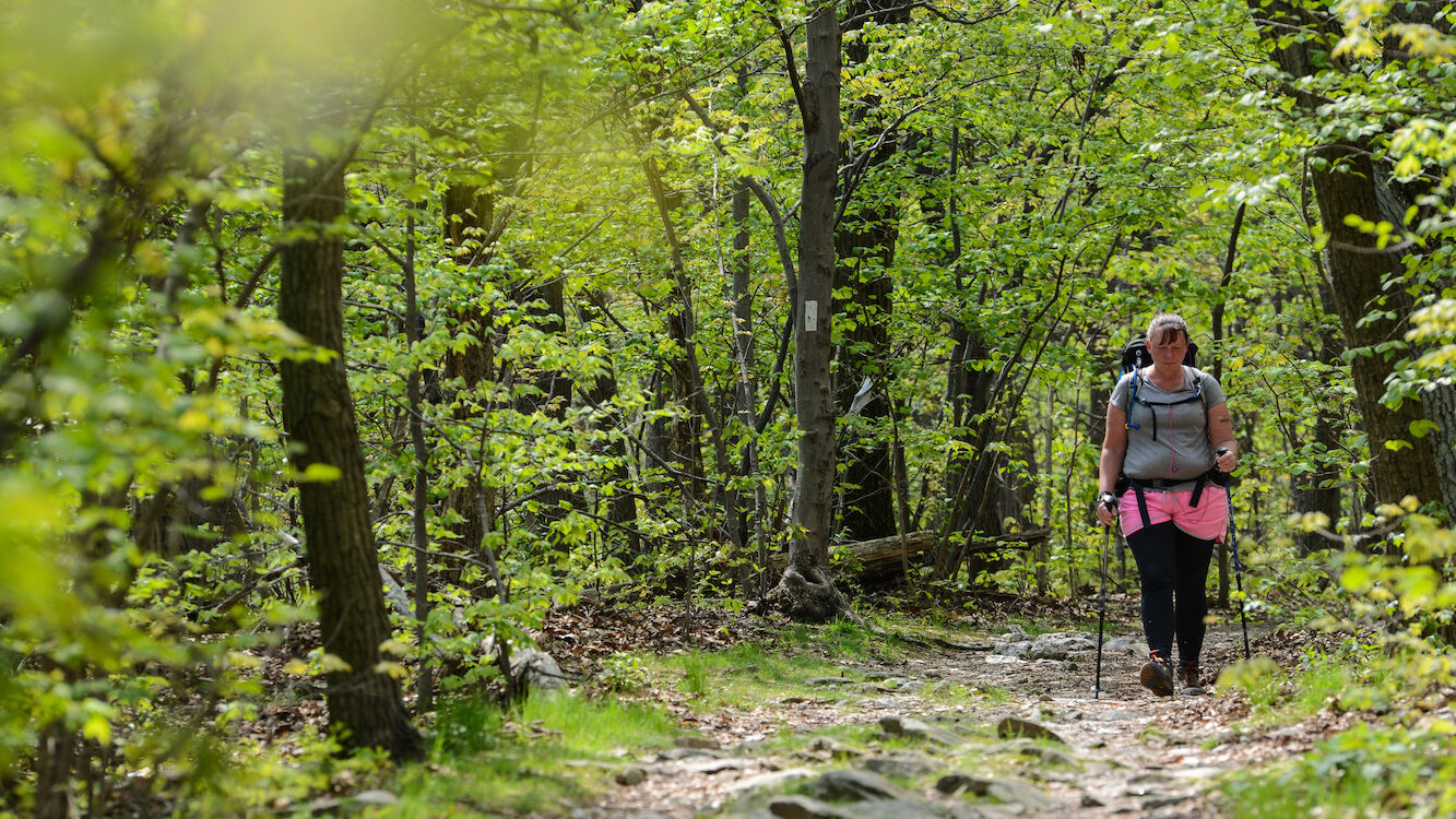 Collaborative Partnerships - Appalachian Trail Conservancy