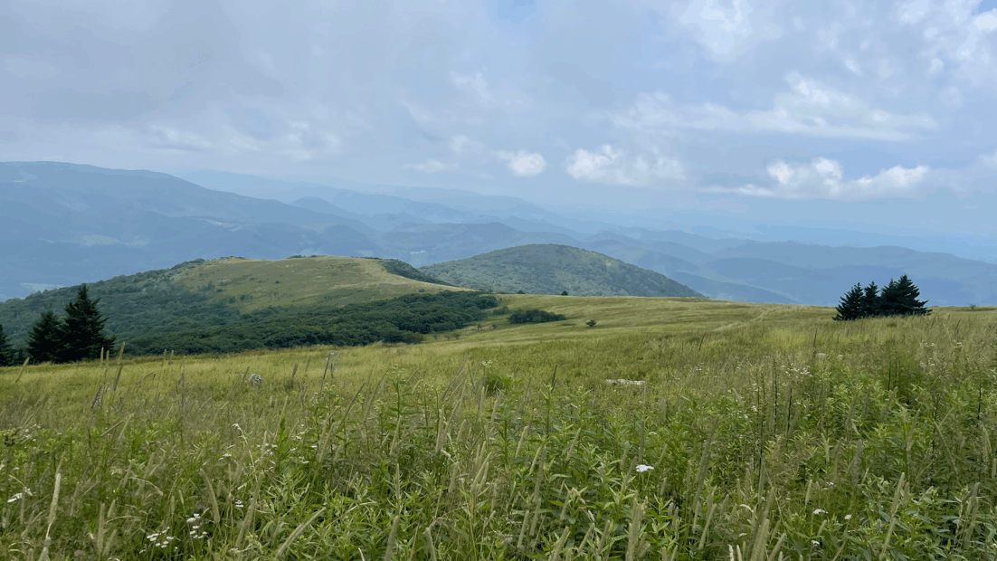 Early Successional Habitats on the A.T. - Appalachian Trail Conservancy ...