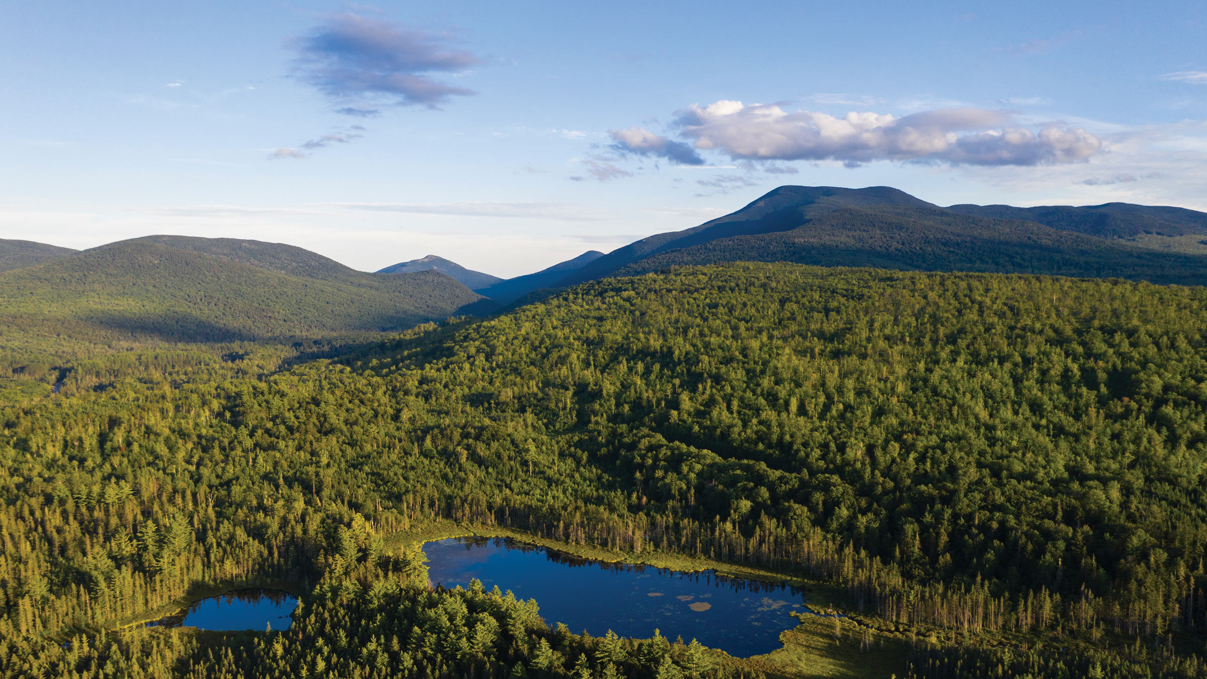 A Catalyst for Conservation - Appalachian Trail Conservancy ...