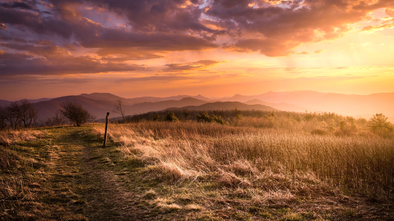 Decoding the Appalachian Trail: Volume 2 - Appalachian Trail Conservancy