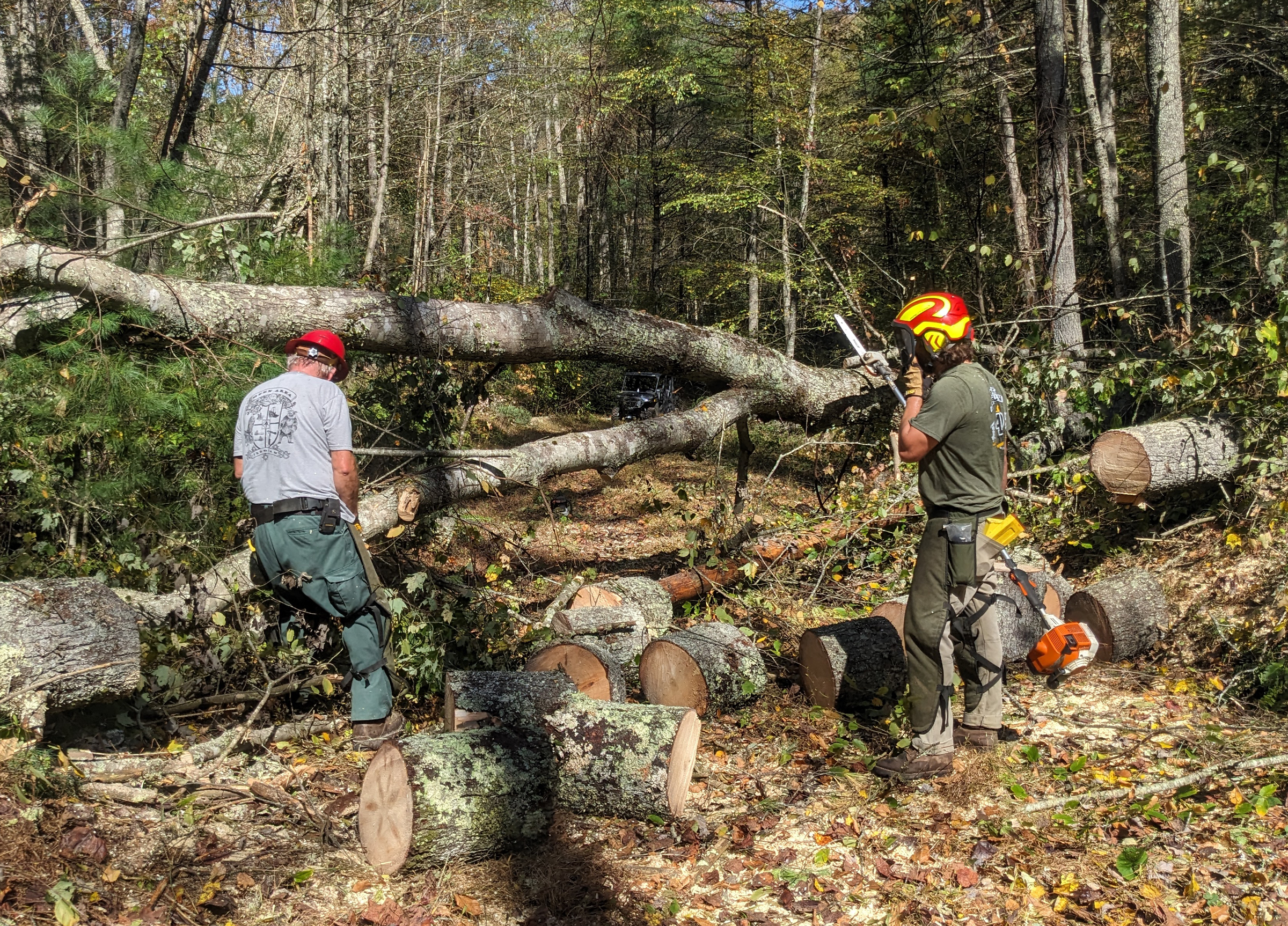 Hiking & Helene: Storm Damage Info for 2026 Hikers - Appalachian Trail ...