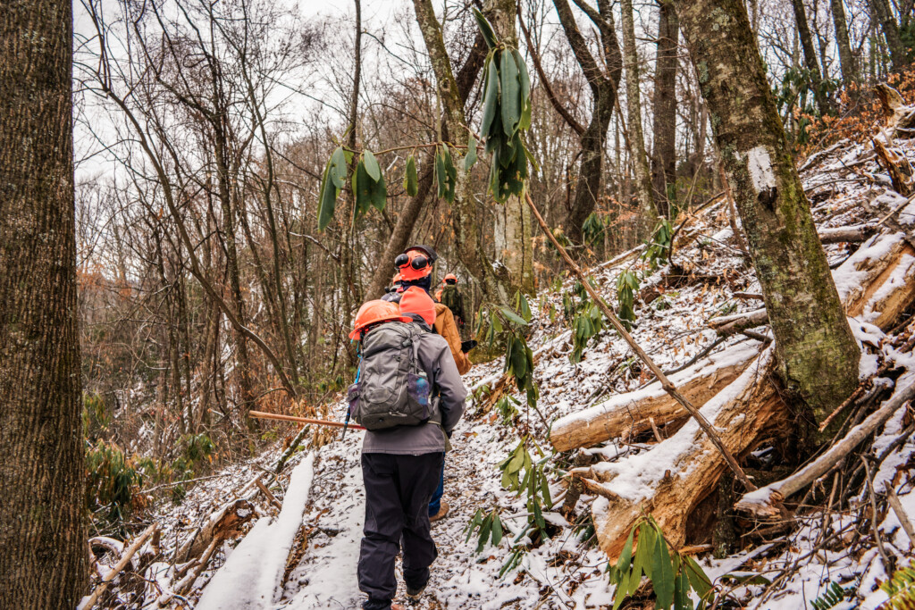 Clearing the Appalachian Trail in Virginia After Hurricane Helene: A ...