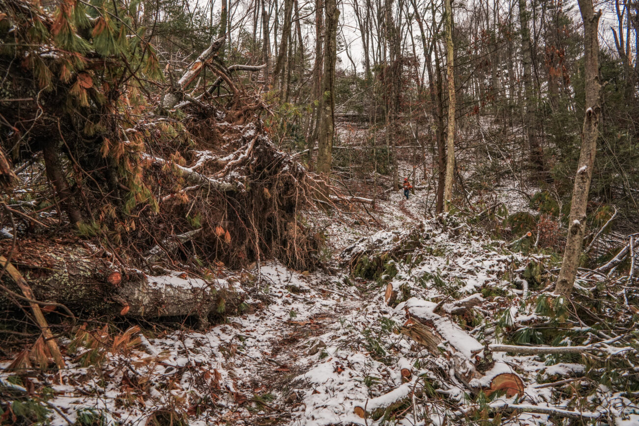 Hiking & Helene - Appalachian Trail Conservancy