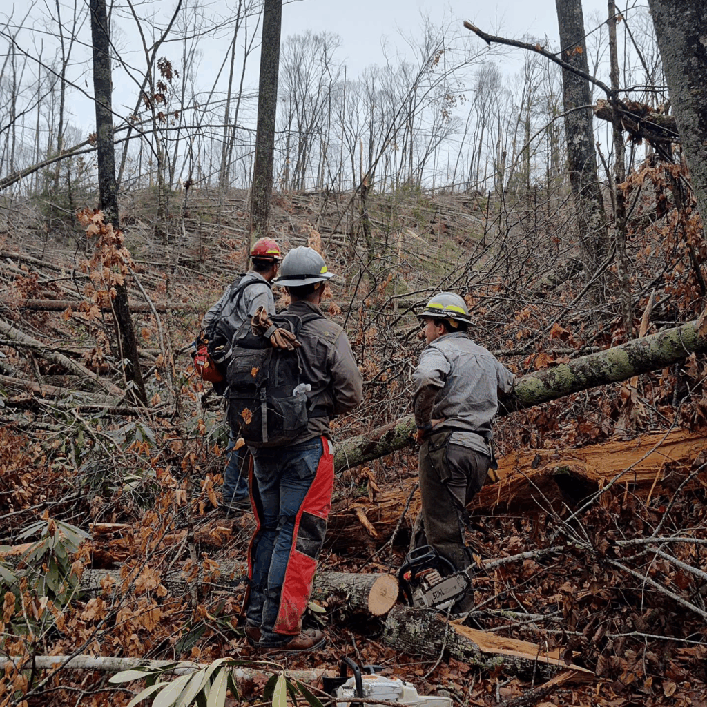 Clearing the Appalachian Trail in Virginia After Hurricane Helene: A ...