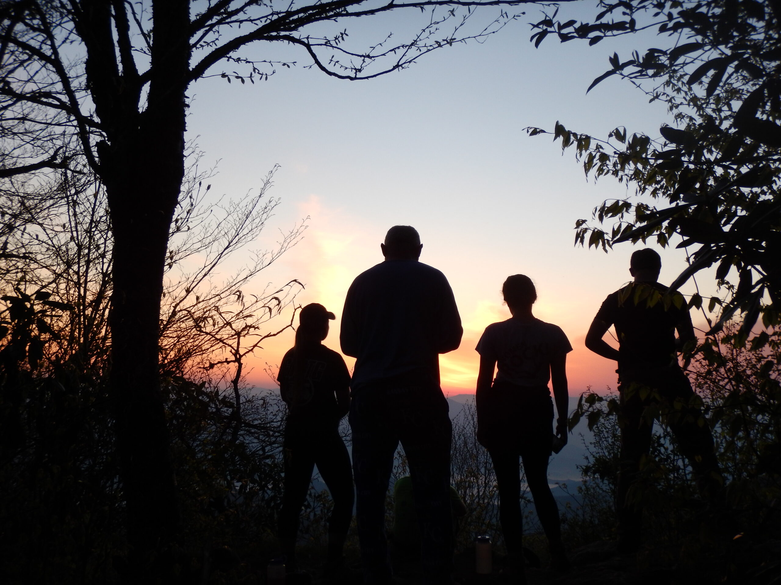 Five Years of the Volunteer Engagement Platform - Appalachian Trail ...