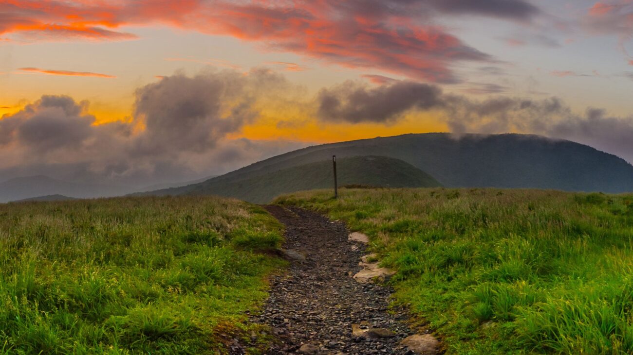 Round Bald and Jane Bald - Appalachian Trail Conservancy