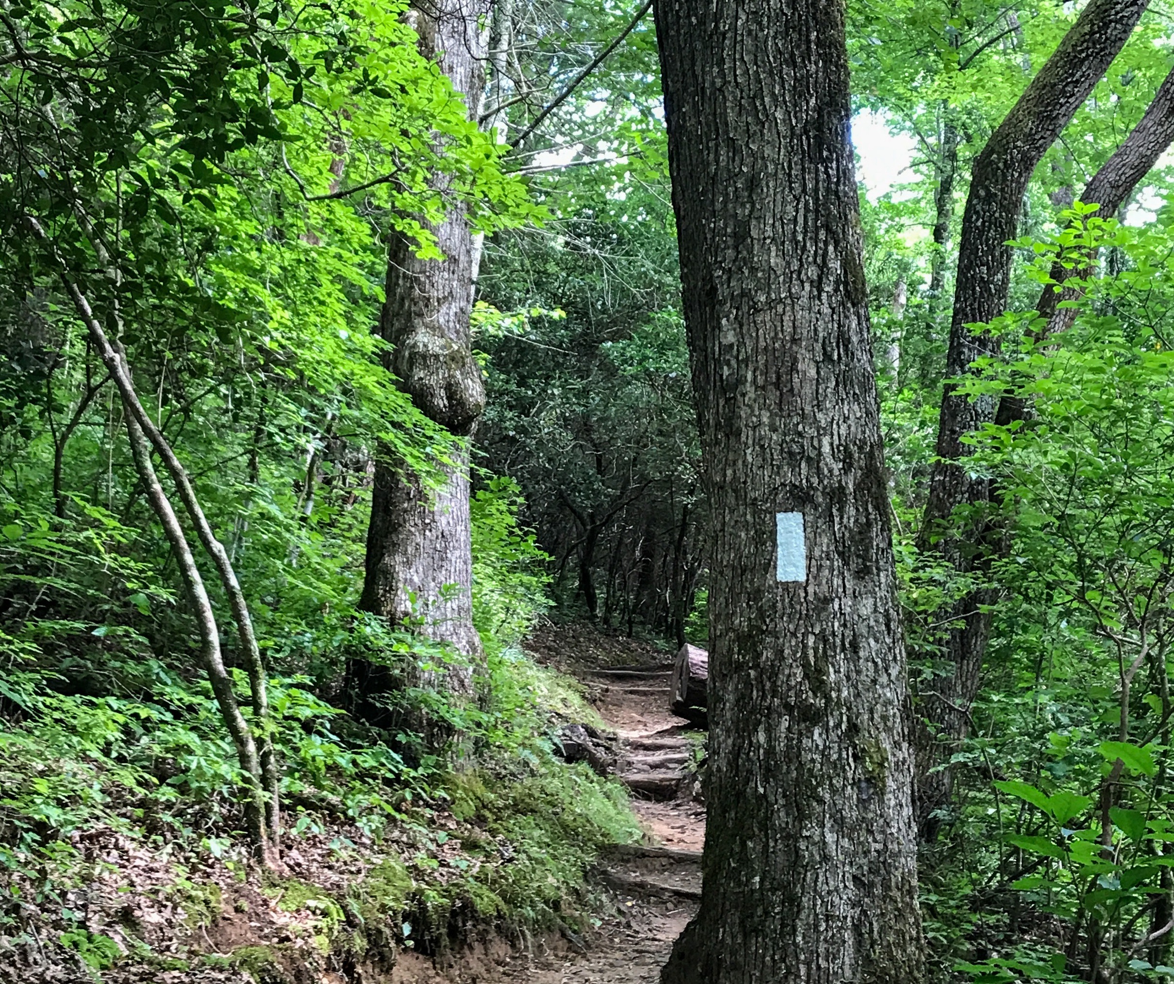 Appalachian Trail Becomes One Mile Shorter in 2024 - Appalachian Trail ...