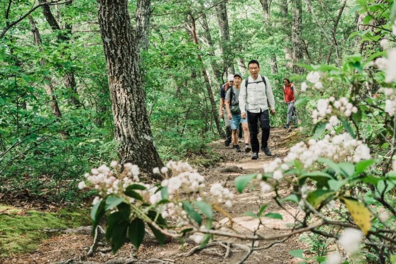 Hike the Trail - Appalachian Trail Conservancy