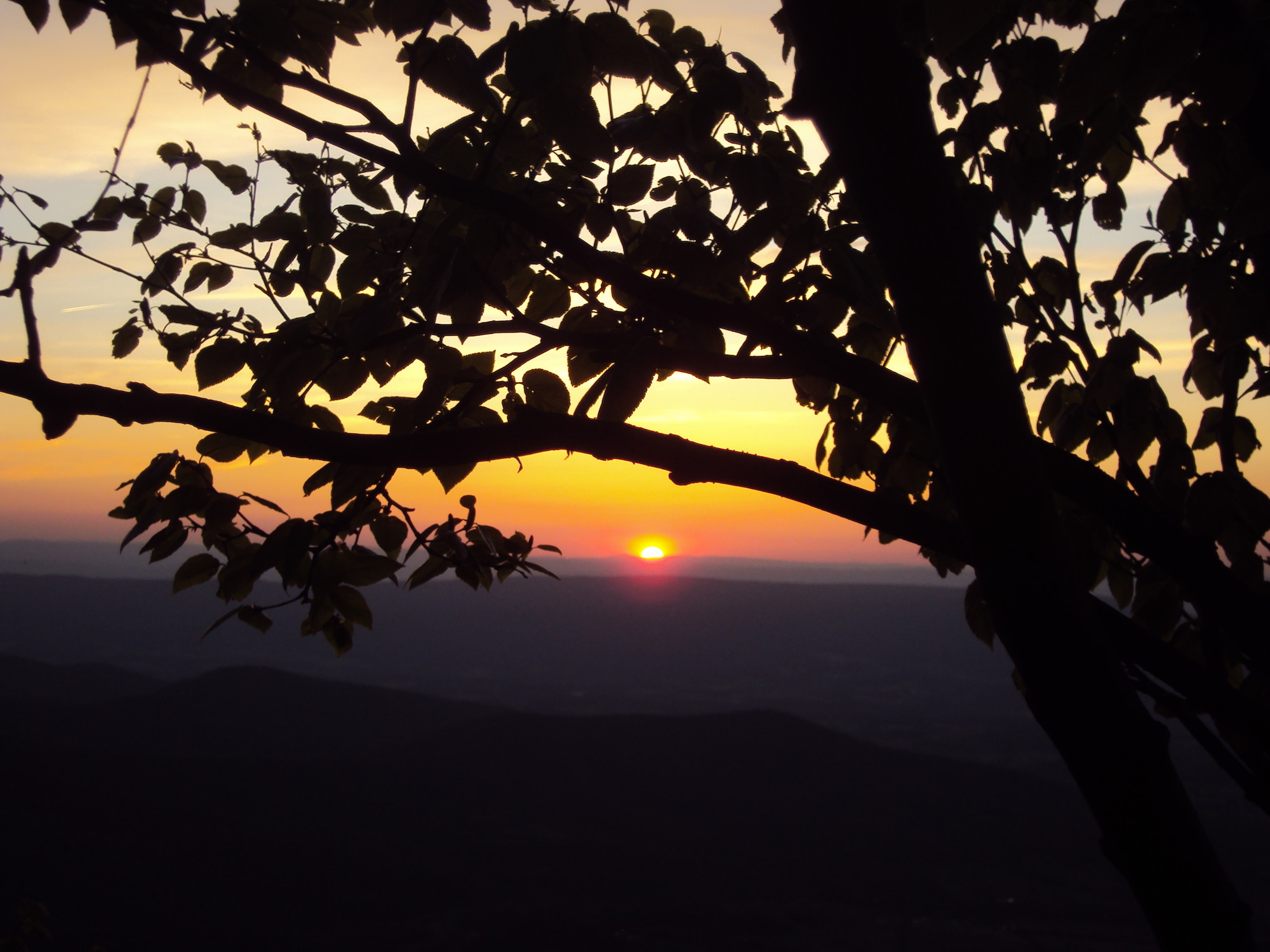 Tribute Gifts - Appalachian Trail Conservancy