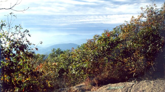 Springer Mountain - Appalachian Trail Conservancy