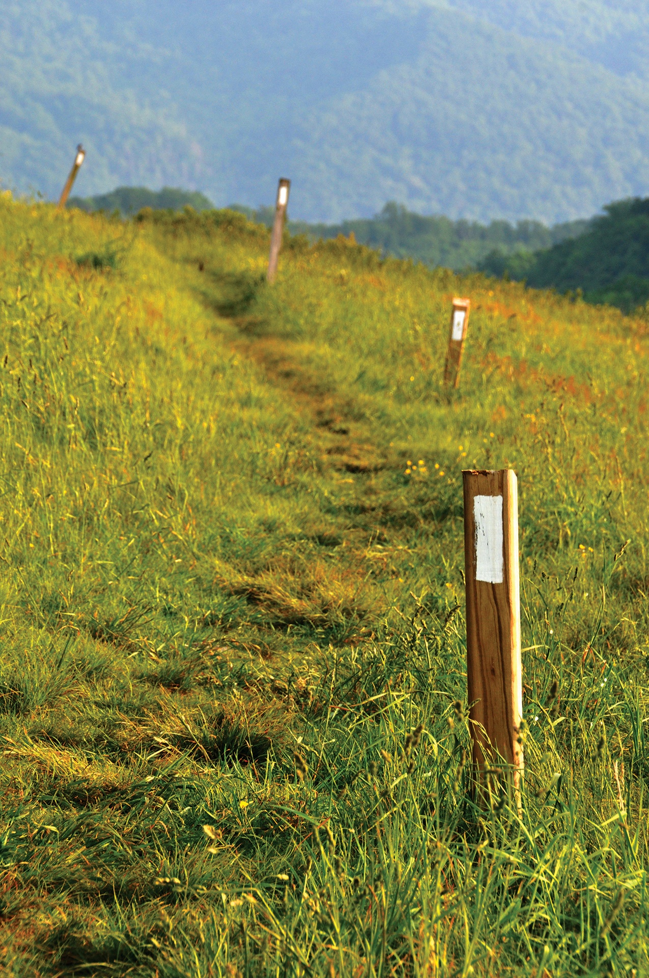 Max Patch - Appalachian Trail Conservancy | Appalachian Trail Conservancy