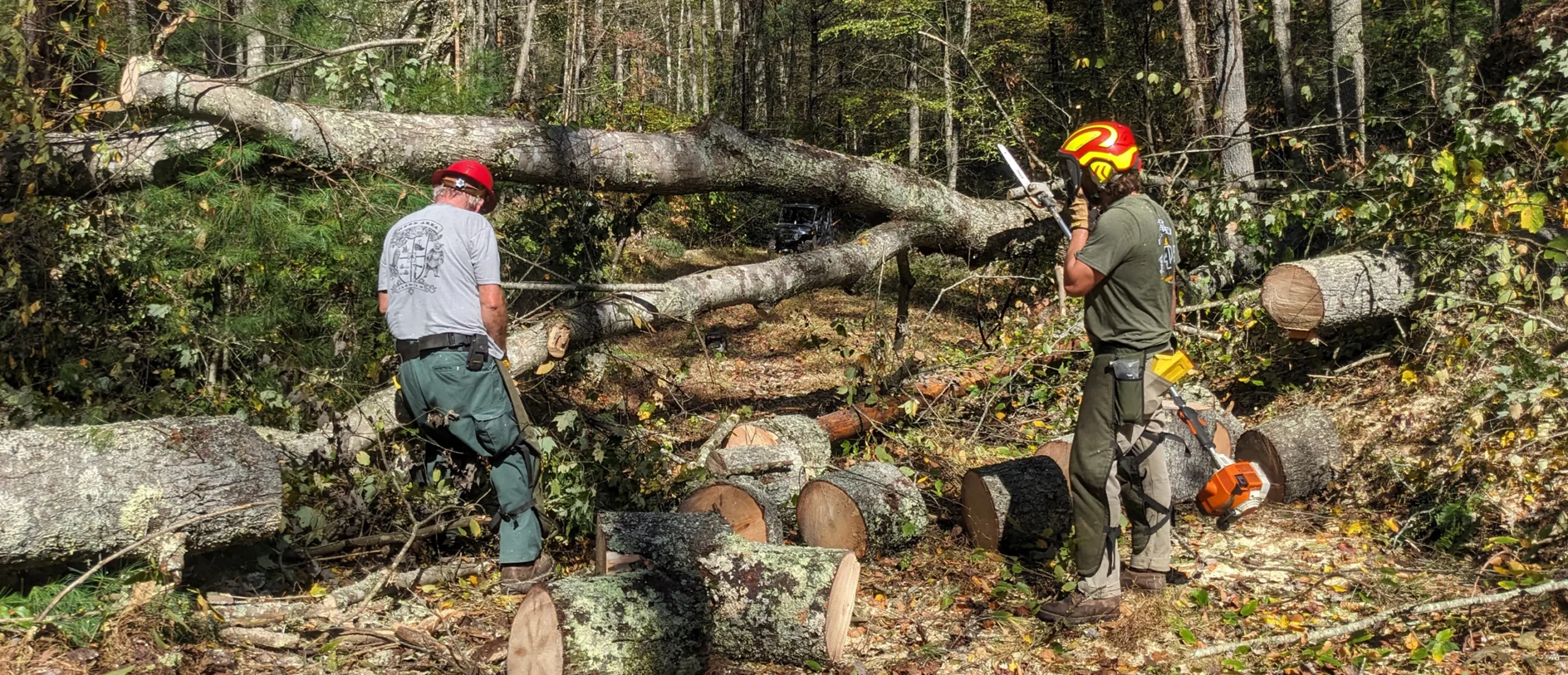 A.T. Resiliency Fund - Appalachian Trail Conservancy