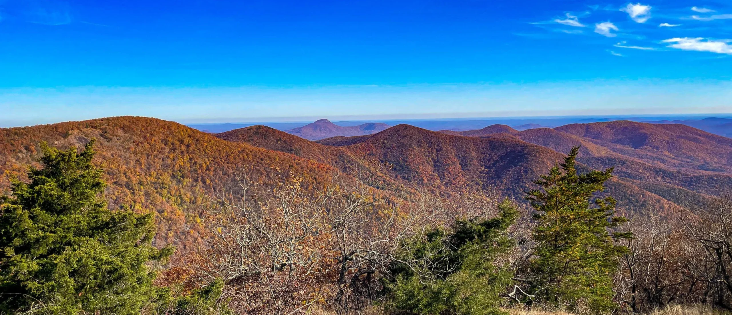 Georgia - Appalachian Trail Conservancy | Appalachian Trail Conservancy