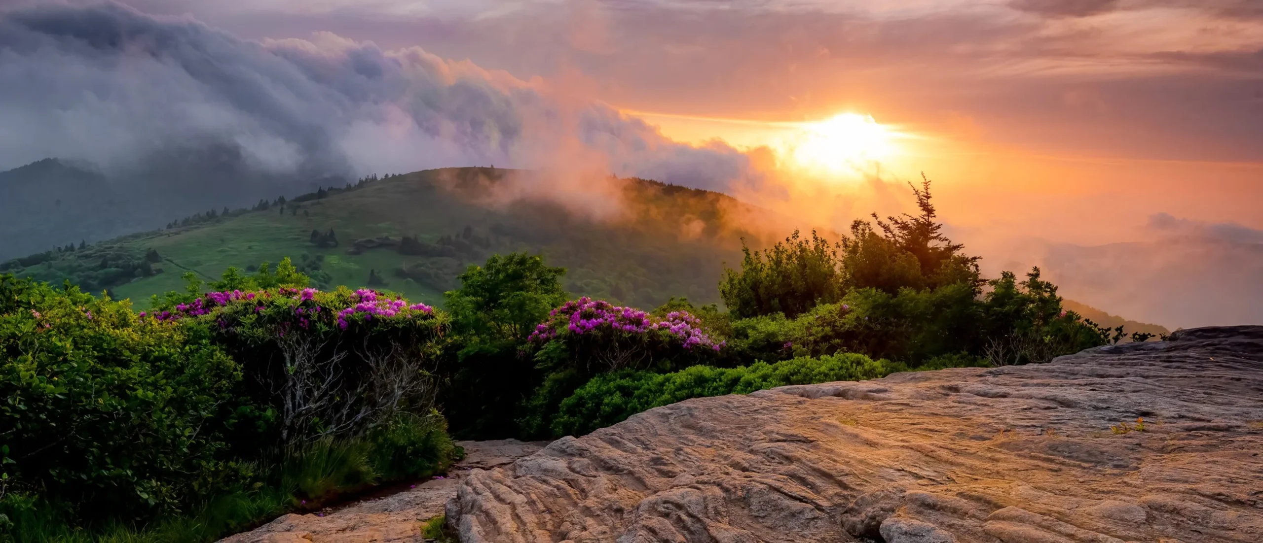 North Carolina - Appalachian Trail Conservancy | Appalachian Trail ...