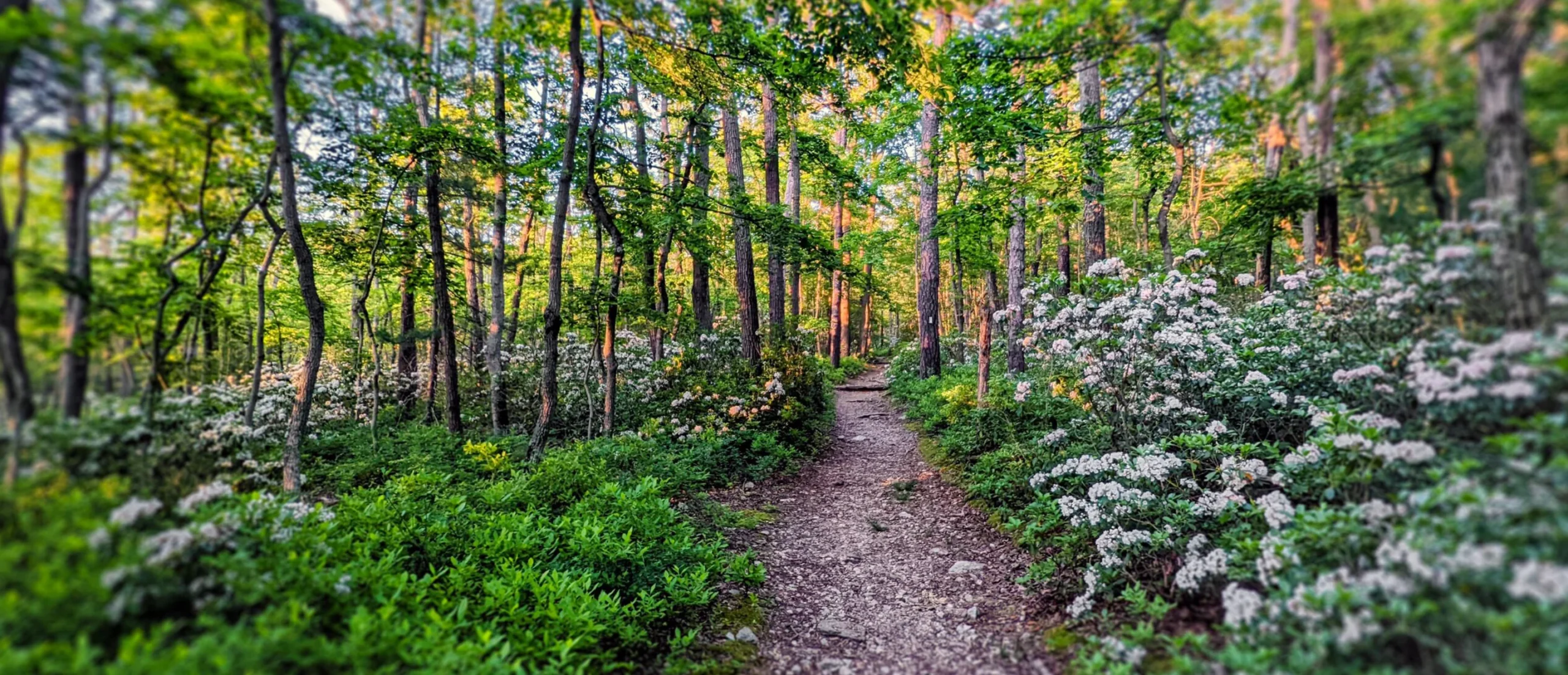 Pennsylvania - Appalachian Trail Conservancy