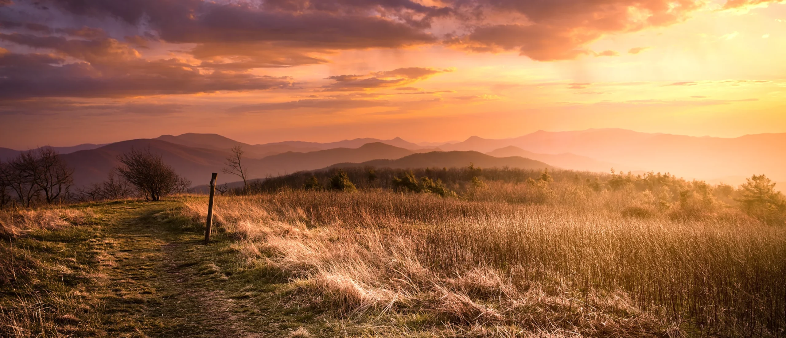 Tennessee - Appalachian Trail Conservancy