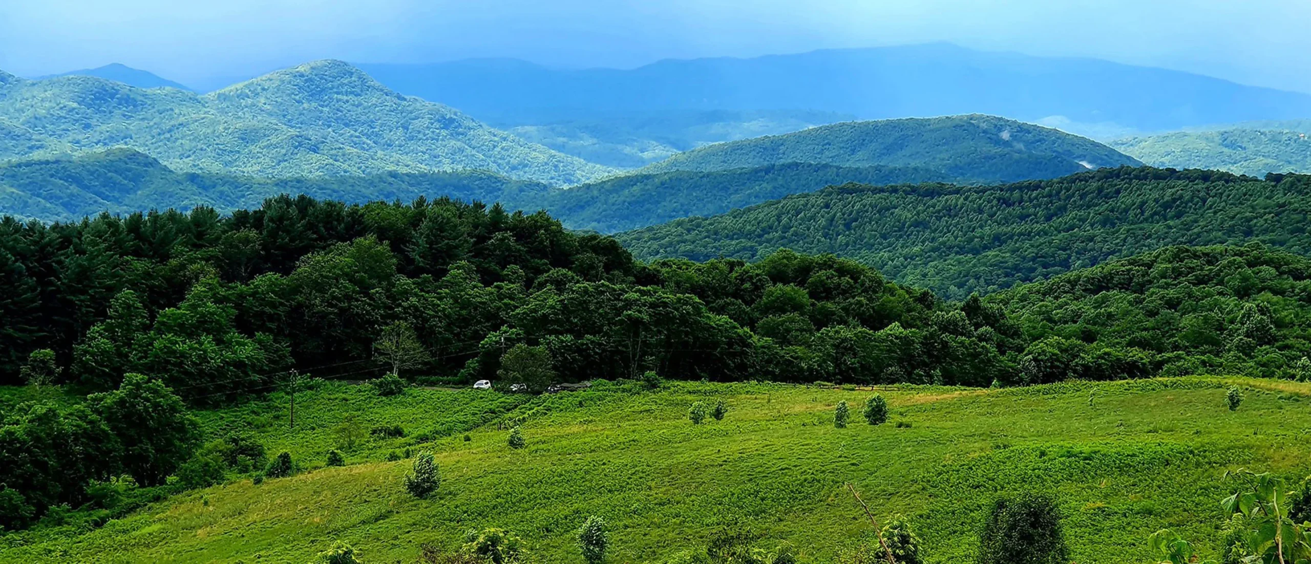 Stocks & Mutual Funds - Appalachian Trail Conservancy