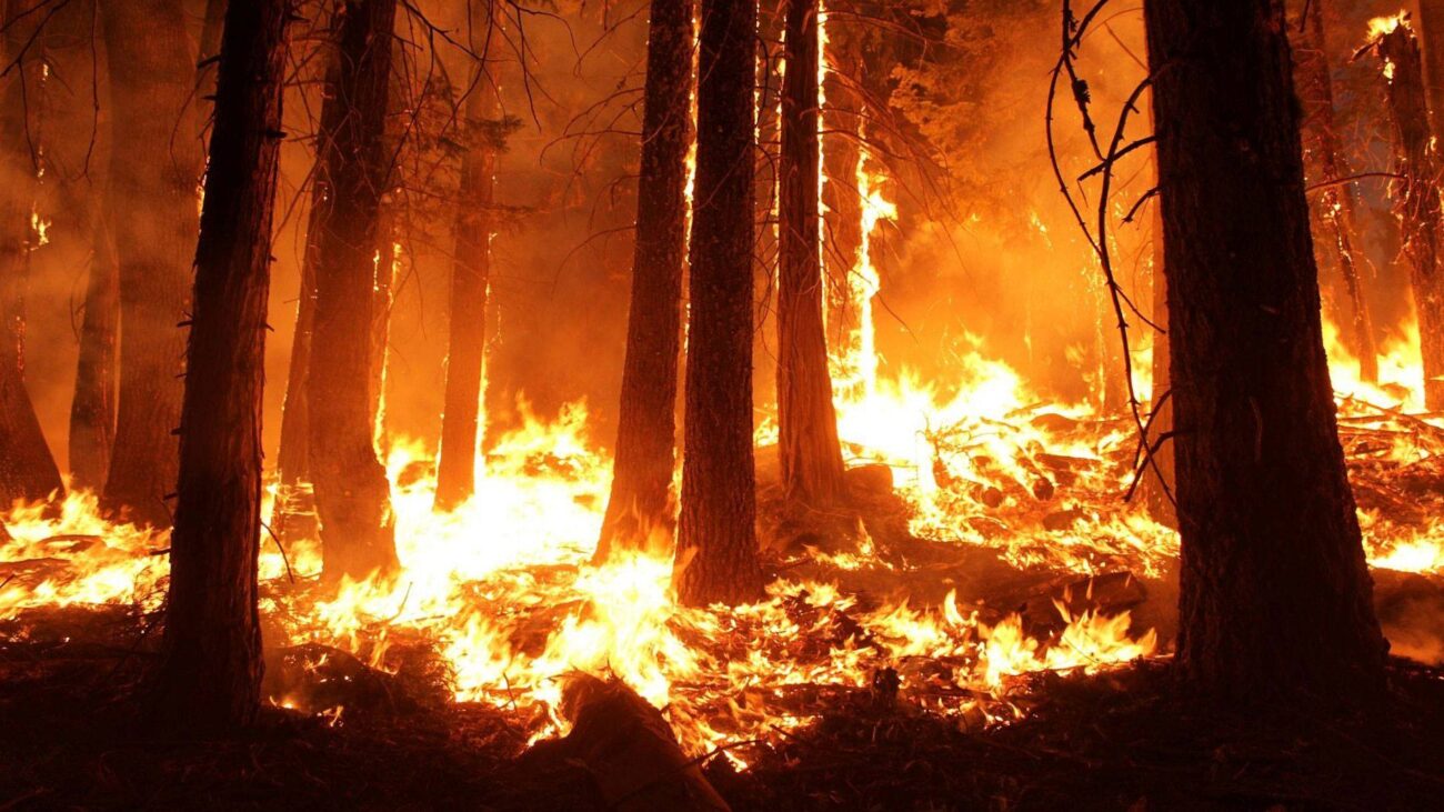 Help Prevent Wildfires This Spring - Appalachian Trail Conservancy