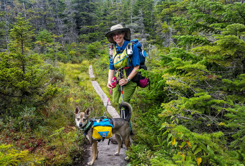 Hiking With Your Dog - Appalachian Trail Conservancy
