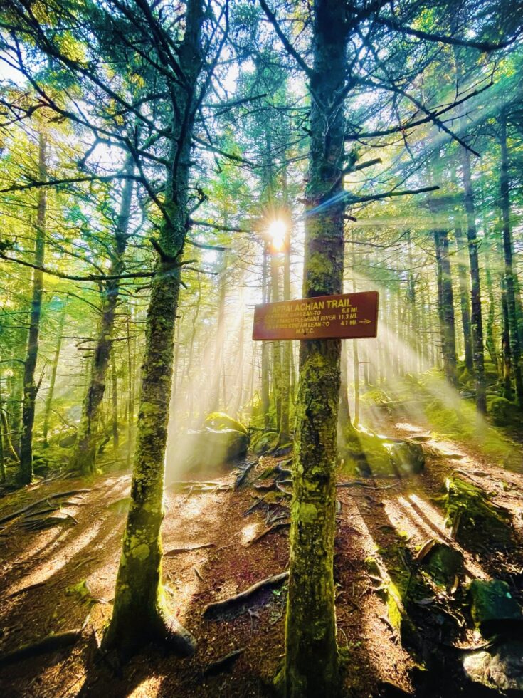 Trail Magic - Appalachian Trail Conservancy