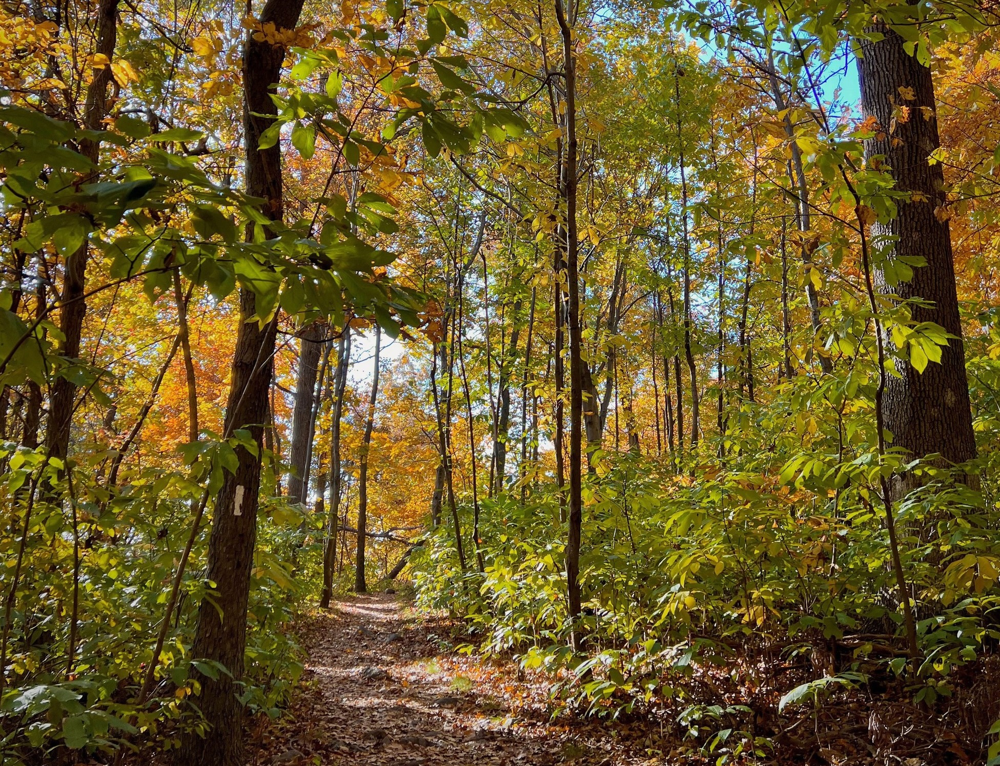 Appalachian Trail Becomes a Half Mile Longer in 2026 - Appalachian ...