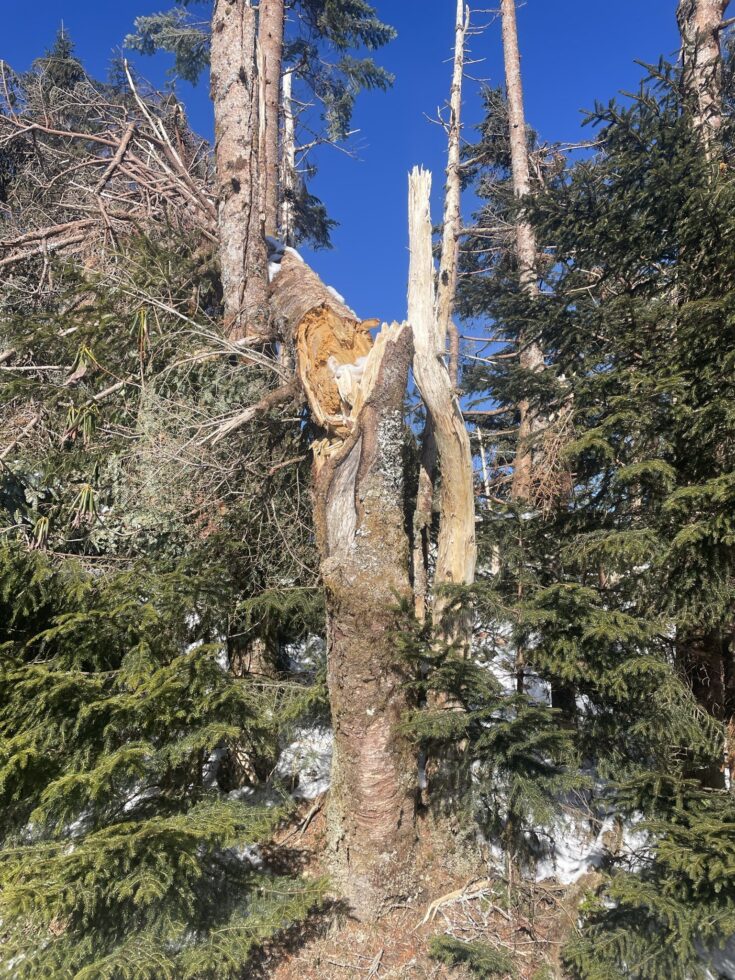Hiking & Helene - Appalachian Trail Conservancy